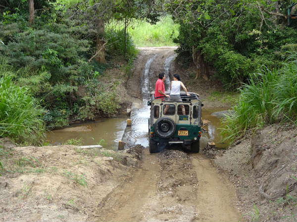 Travel Guide on Jeep safari in coorg | കൂര്‍ഗിലെ ജീപ്പ് സഫാരികള് ...