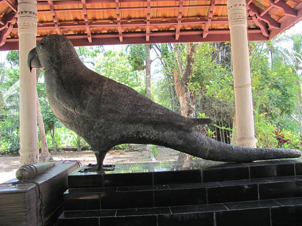 Thunchan Parambu In Tirur | തുഞ്ചൻപറമ്പിലെ തത്ത‌യെ കണ്ടിട്ടുണ്ടോ ...