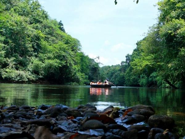 Things To Know Before Going To Kottavanchi Savari In Thannithode ...