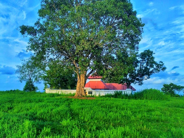 ചൂലും കയറും വഴിപാ‌ടായി നല്കുന്ന ആലുമാവിന്‍ ചുവട്ടിലെ അപൂര്‍വ്വ ...