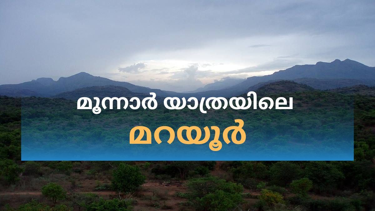 Munnar Marayoor Travel- These Are The Places You Never Miss When ...