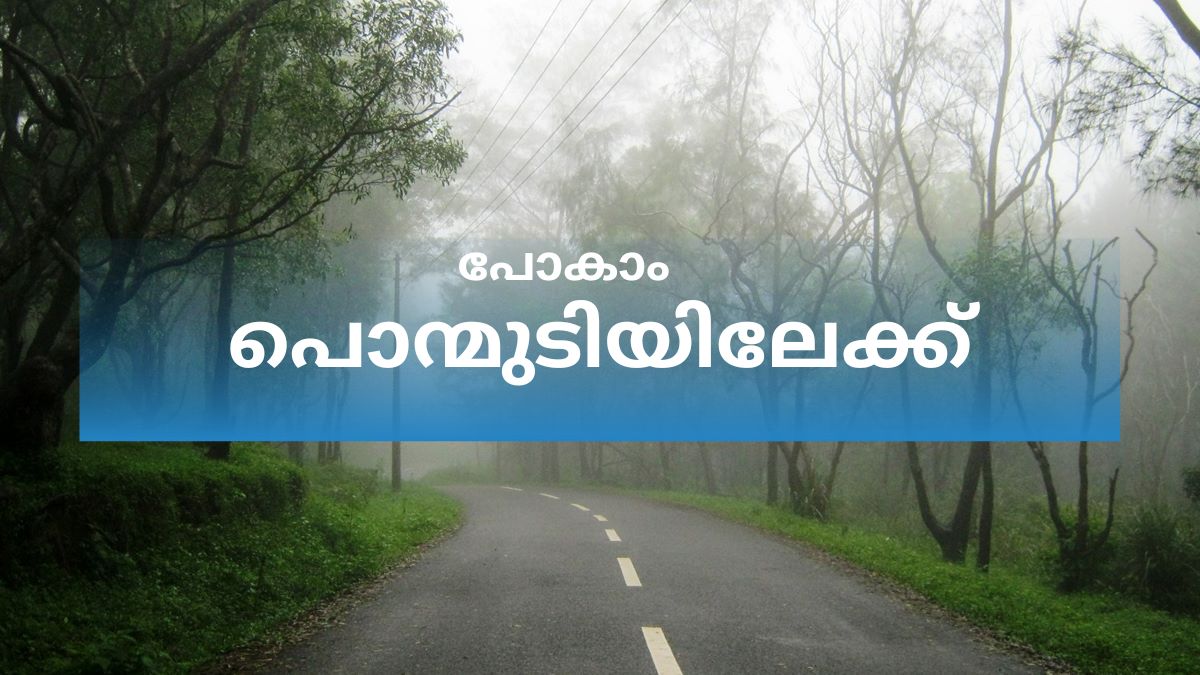 Ponmudi Travel:Know These Places In And Around Ponmudi For One Day Trip ...