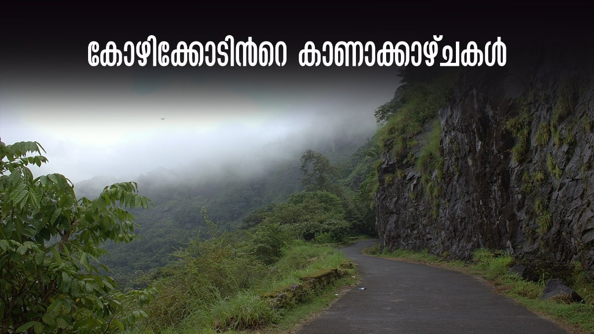 Eco Tourism In Kozhikode:Visit Vayalada, Kakkad, Kakkayam And More ...