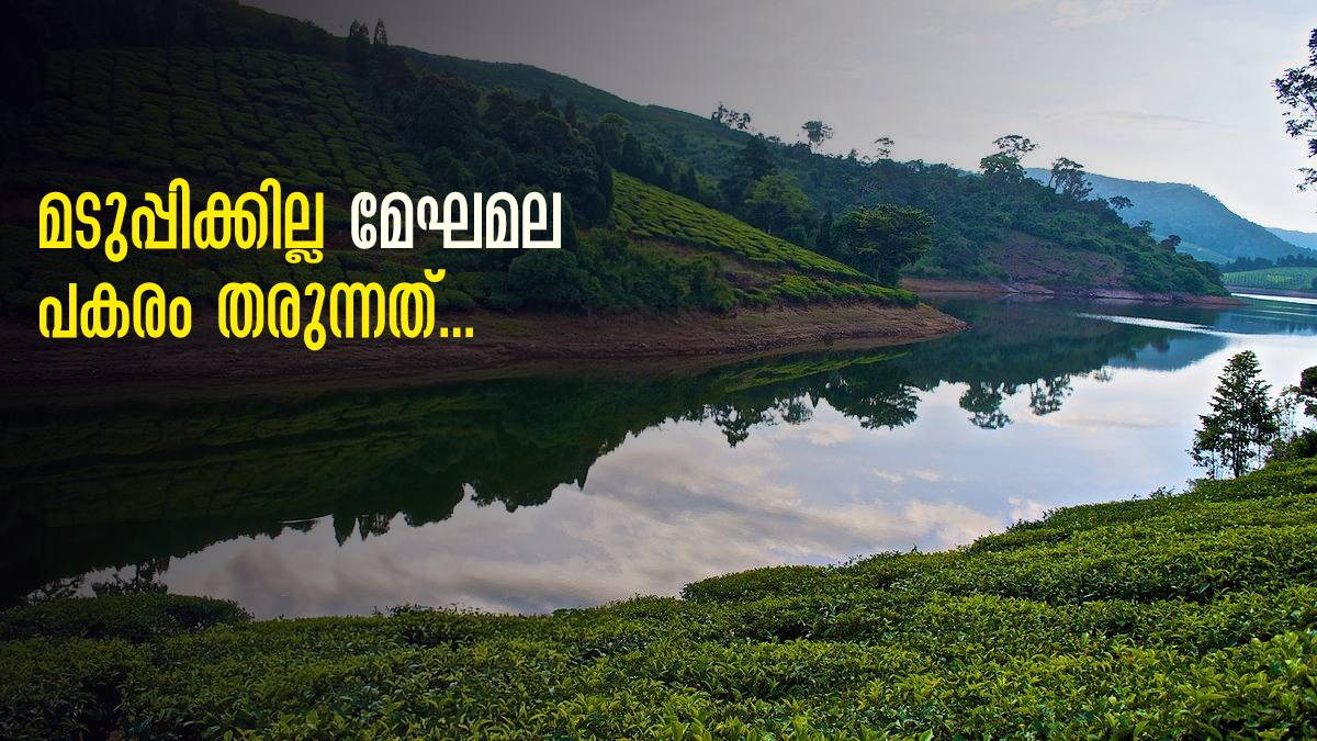 Meghamalai Travel: These Are The Places You Must Visit Here, Suruli ...