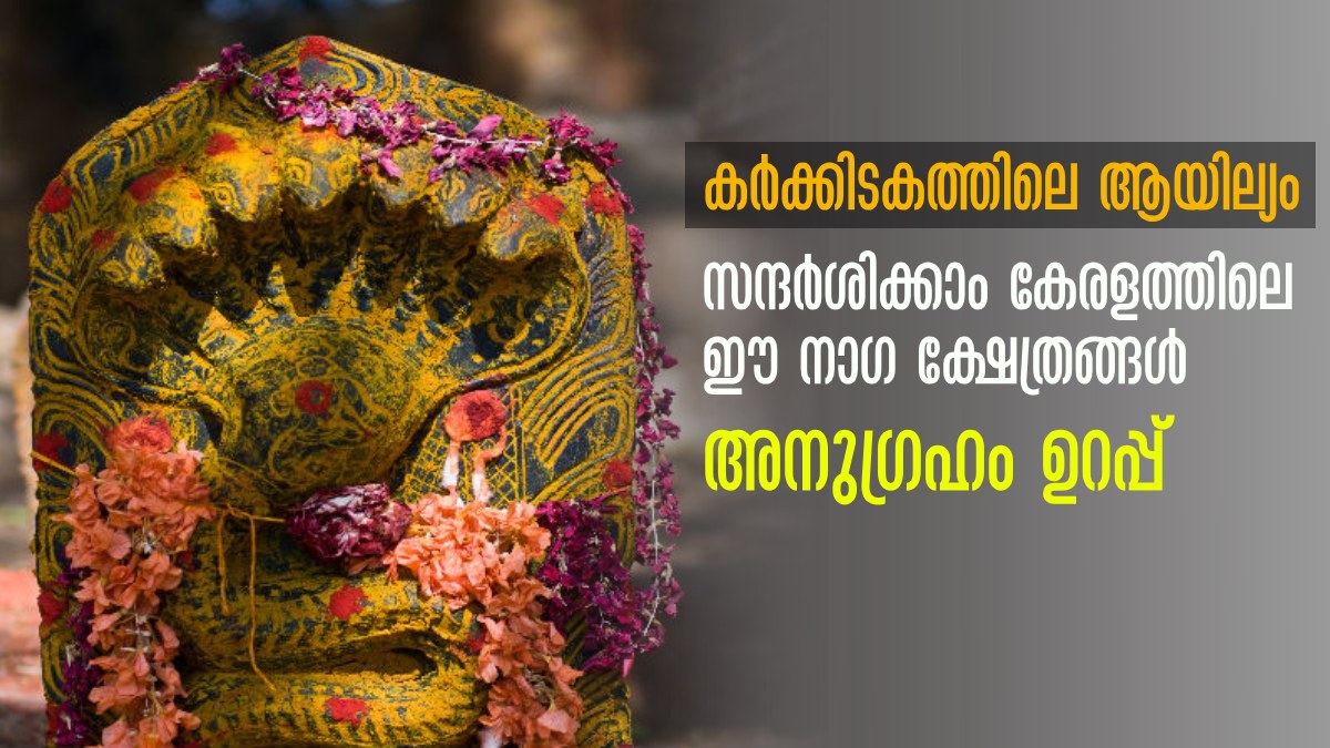 Ayilyam In Karkidakam-Naga Temples In Kerala To Visit And Rituals ...