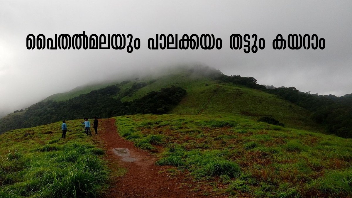 Paithalmala Palakkayam Thattu KSRTC Package 1 Day Trip- booking And ...