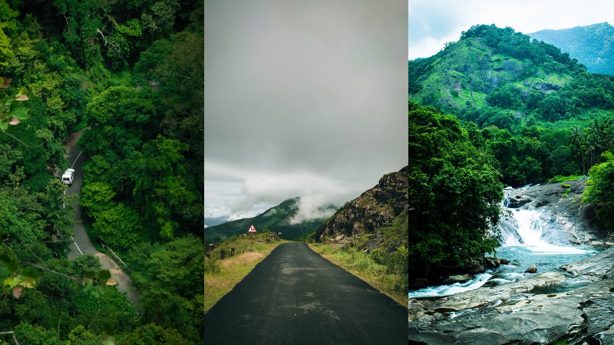 Wilderness Of Rosemala, Serenity Of Ramakkalmedu, Konni, Visit With ...